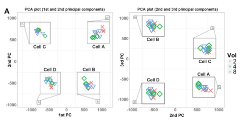 Unleashing the power of a single cell