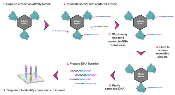DNA-Encoded Library (DEL) Screening | SPT Labtech