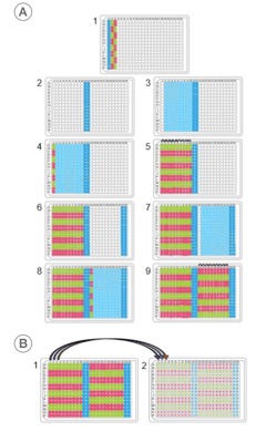 DNA-Encoded Library (DEL) Screening | SPT Labtech