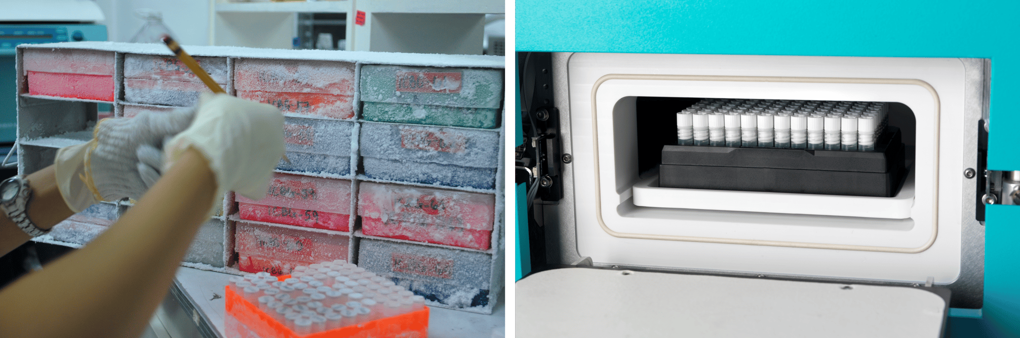 The Ultimate Guide to Effective Sample Management in the Laboratory