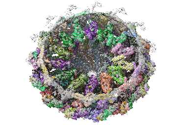 Quantifoil | SPT Labtech