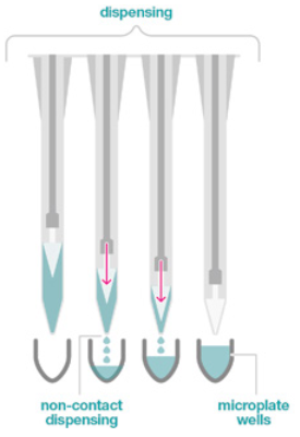 dragonfly discovery technology